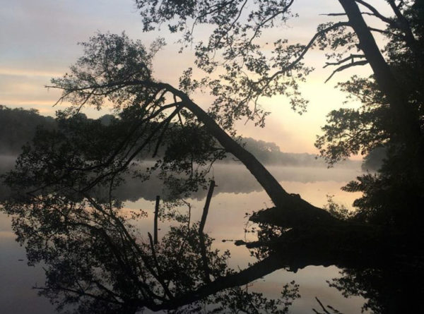 Etang Noir à Seignosse: une nature sauvage apaisante