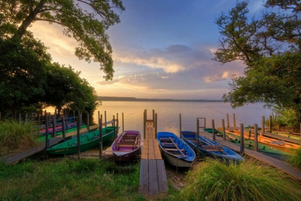 Balade au lac de Léon dans les Landes