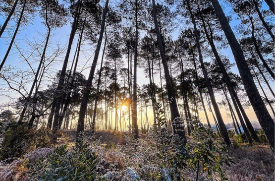 Que faire dans les Landes en hiver ? - Que faire dans les Landes